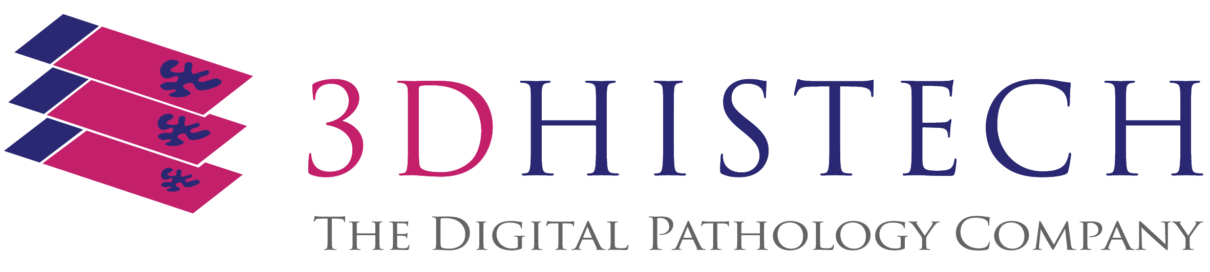 Állás, Karrier | 3Dhistech